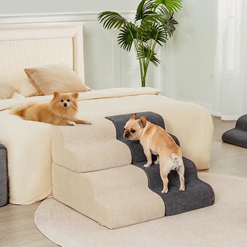 Modular Stackable Foam Ramp Dog Stairs for Small & Senior Dogs – Lexians